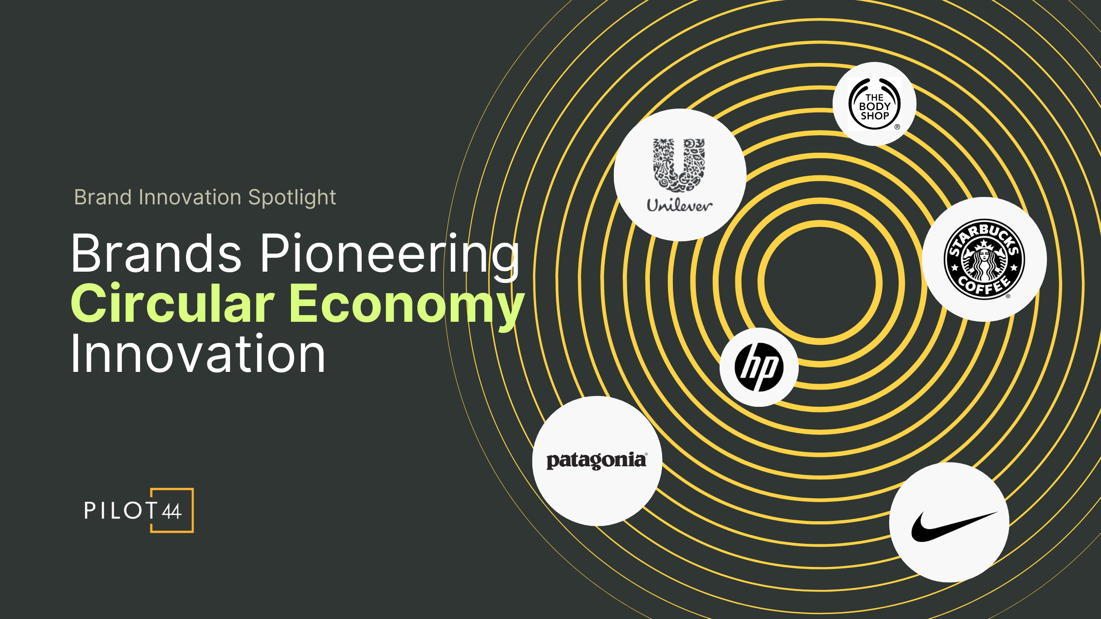 Brands Pioneering Circular Economy Innovation